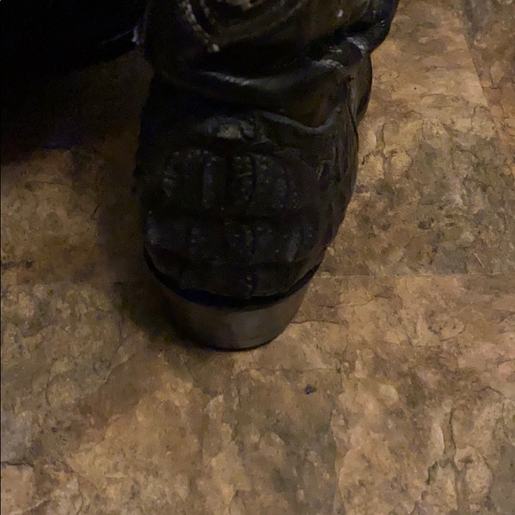 Shoes | Caiman Boots | Poshmark